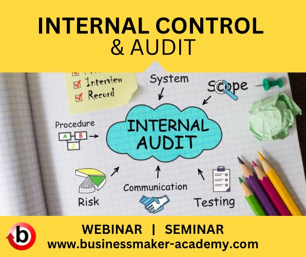 Internal Audit & Control Training by Business Maker Academy, Inc.